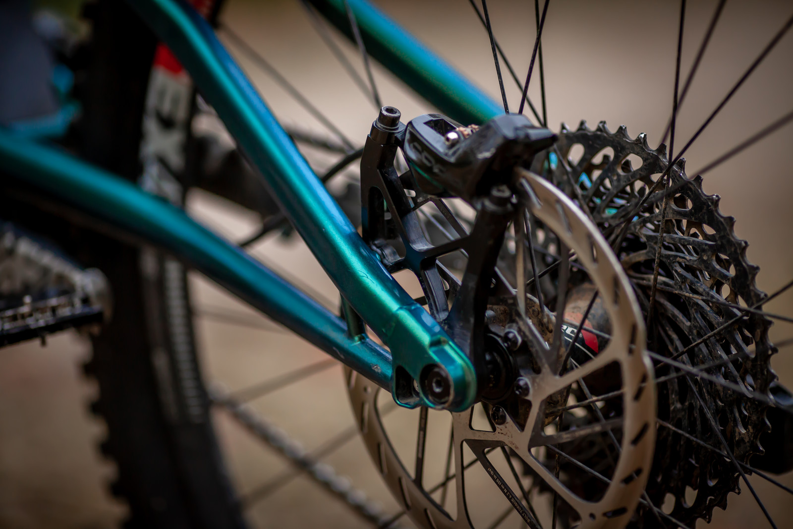 Rå 12 - rifrafi's Bike Check - Vital MTB